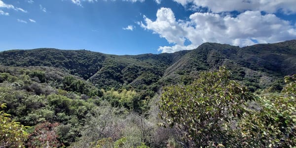 🌳 Hike the Murphy Ranch Trail by Misfits In Love | Plura