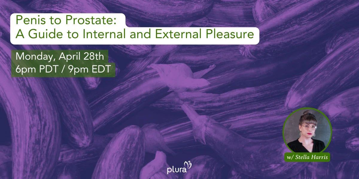 Penis to Prostate: A Guide to Internal and External Pleasure by Plura ...
